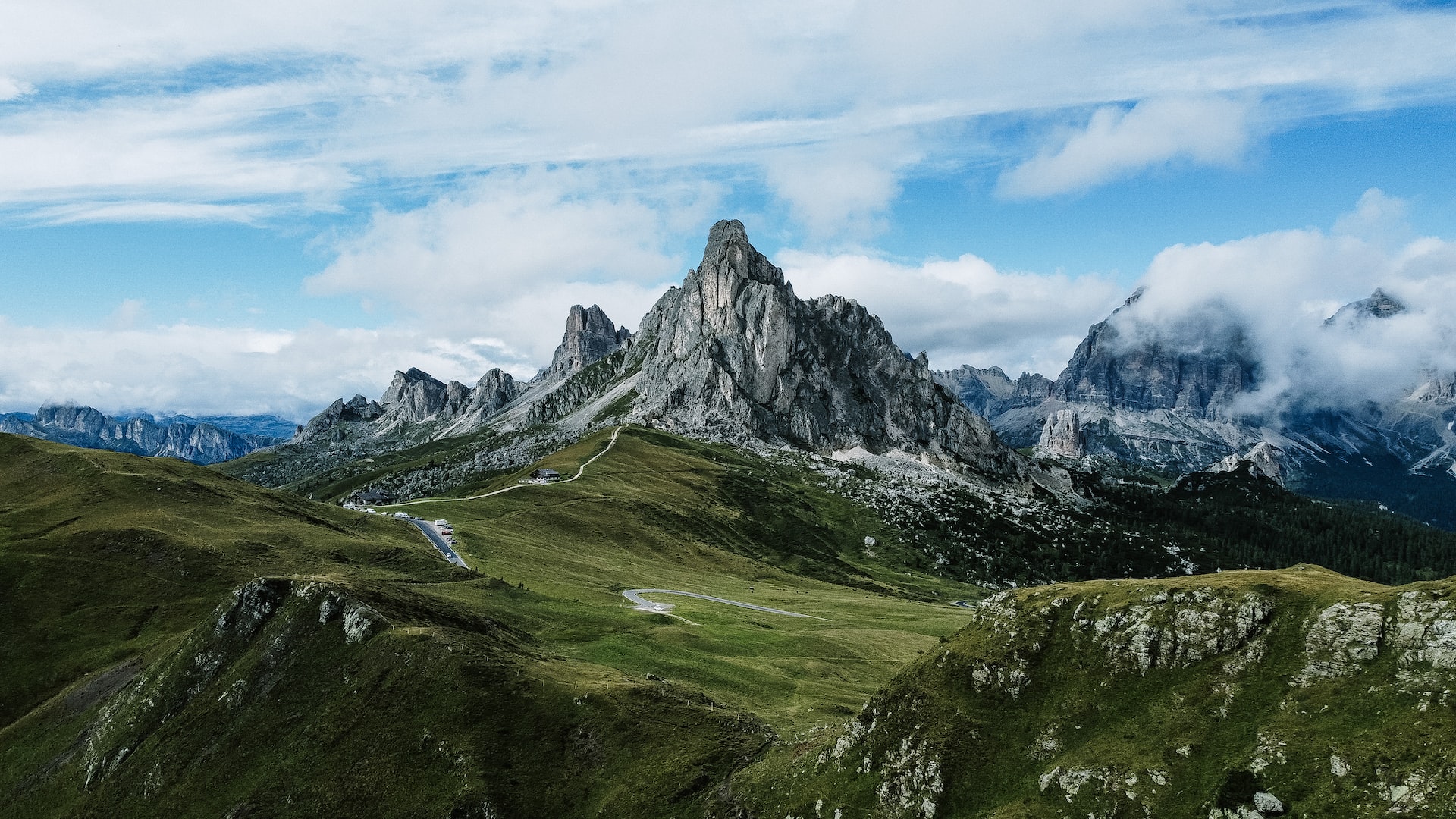 About Us | The Wild Chronicles