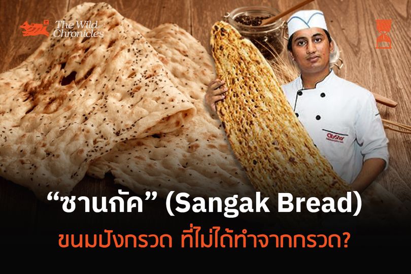 Sangak Bread ขนมปังกรวดที่ไม่ได้ทำจากกรวด? | The Wild Chronicles
